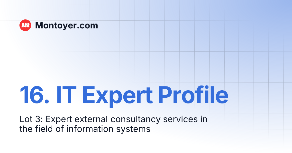 16. IT Expert Profile | Montoyer.com
